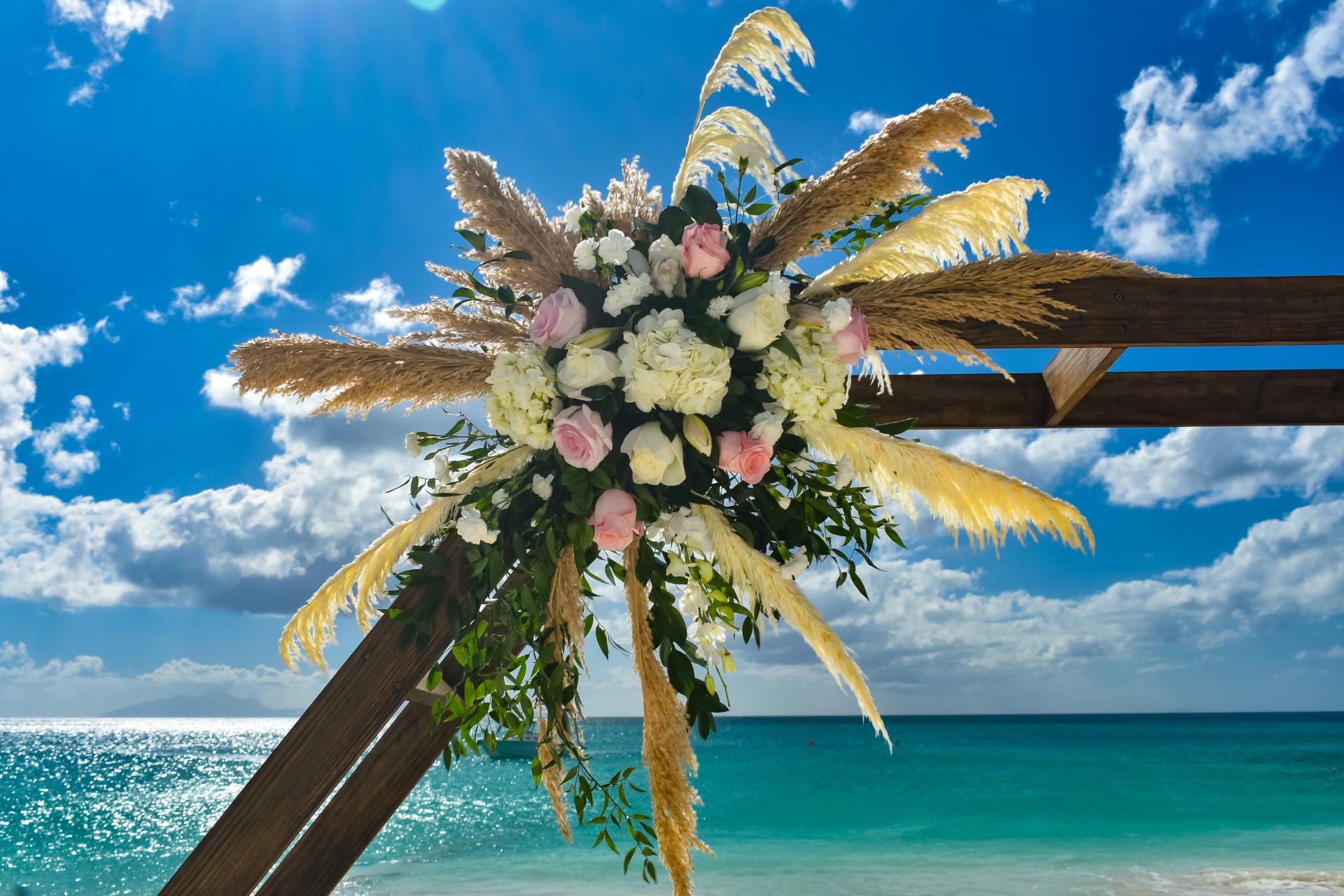 Flower World Discover Antigua Barbuda