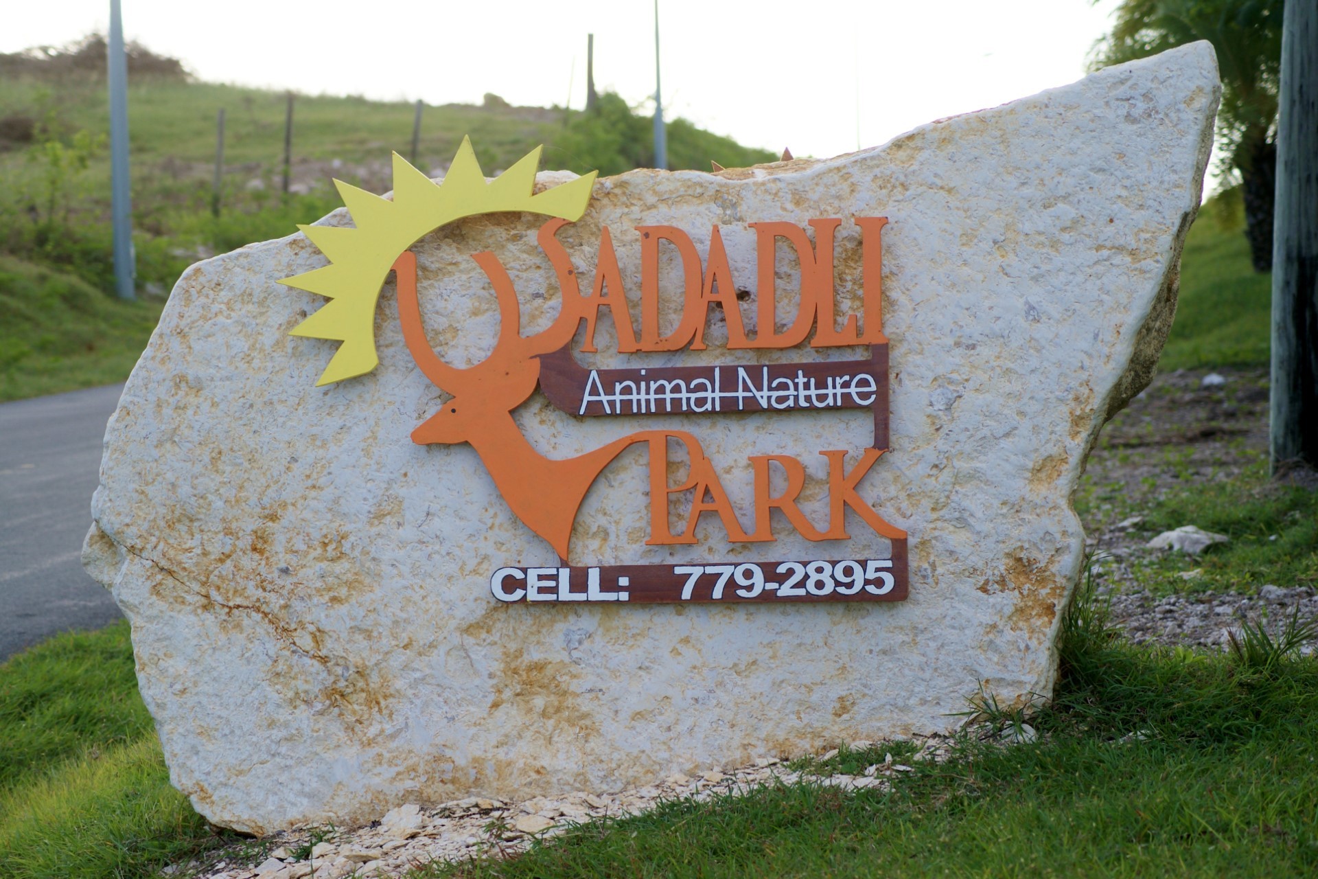 Wadadli Animal Nature Park Discover Antigua Barbuda