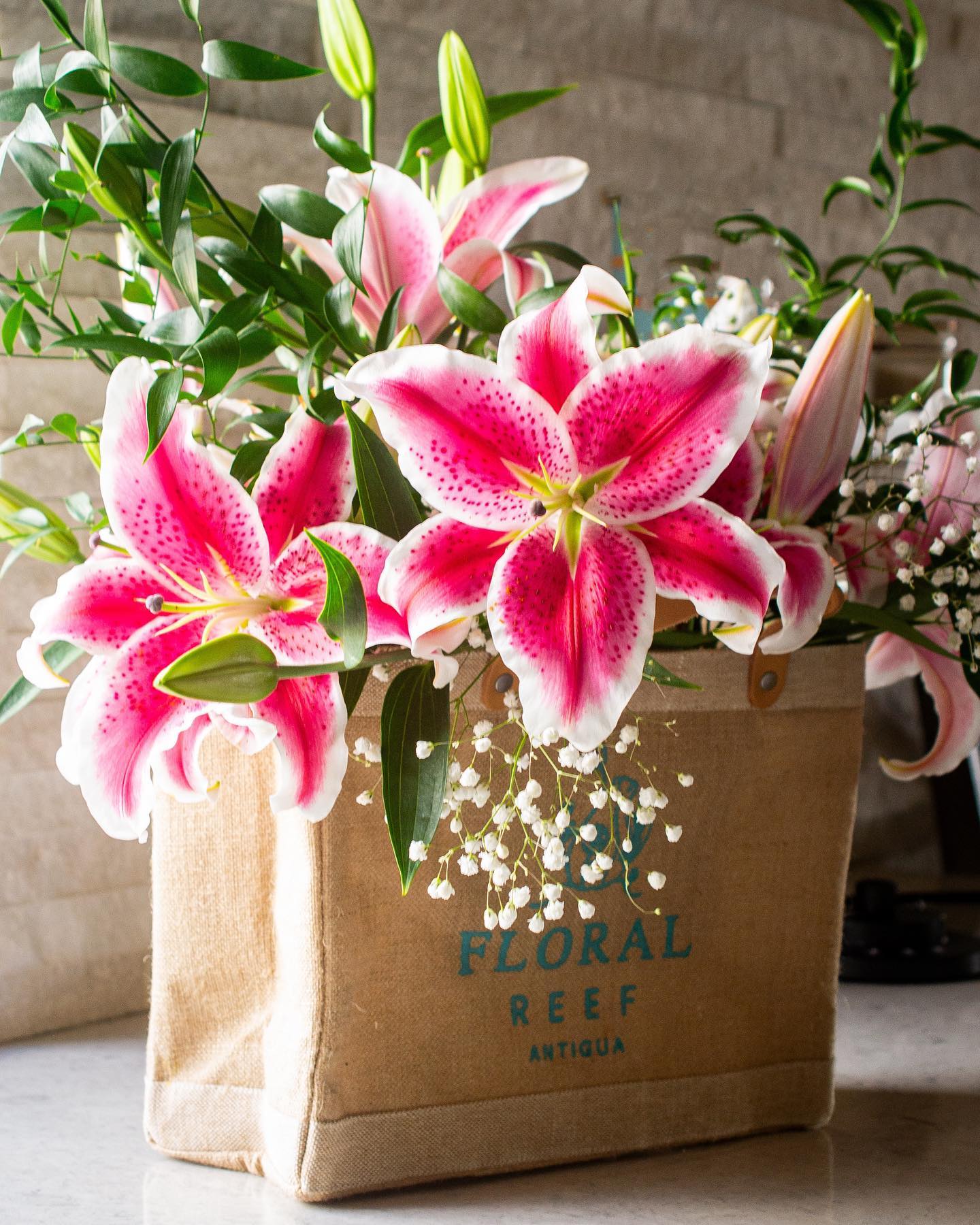 Floral Reef Discover Antigua Barbuda